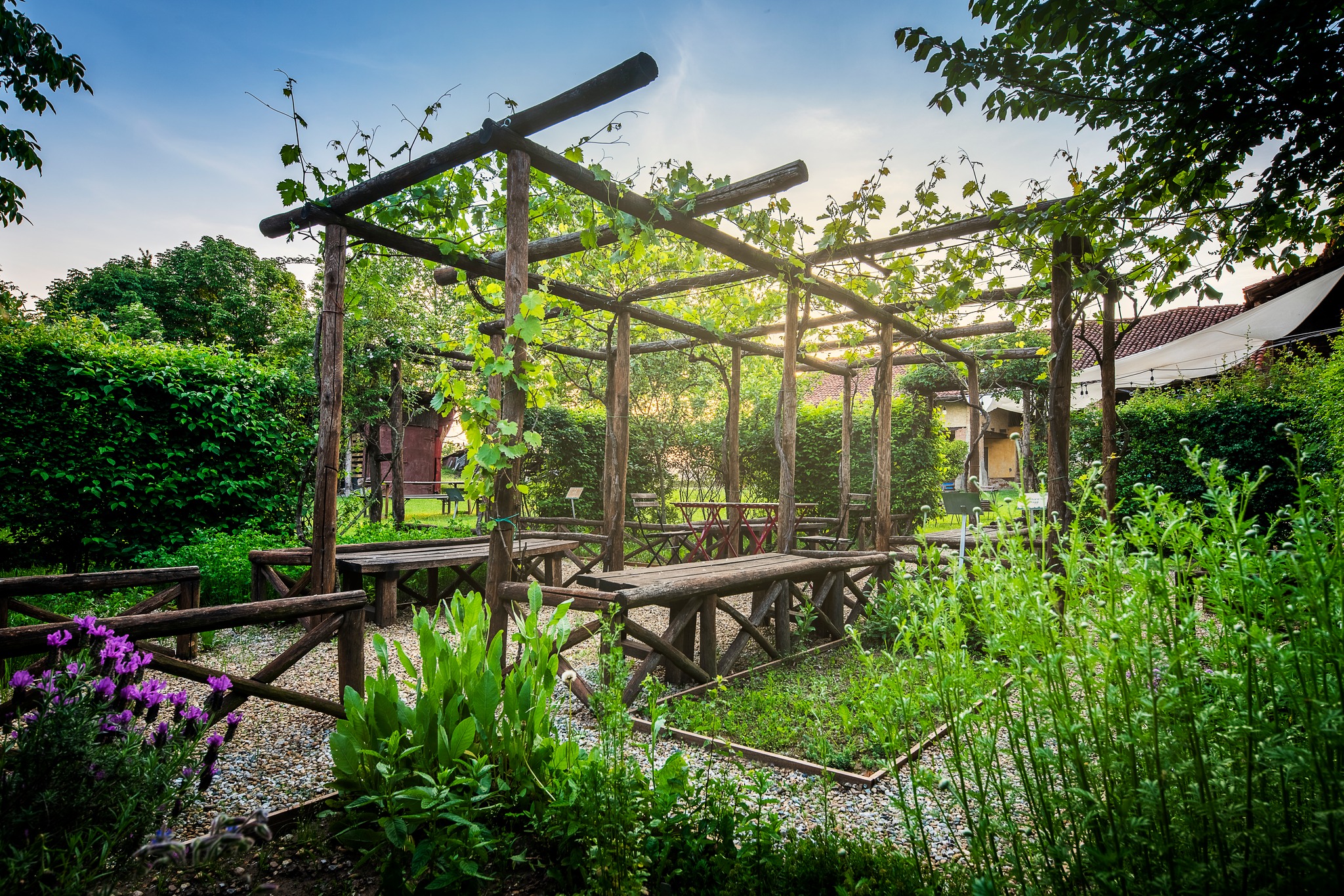 Orto Romano di Bene Vagienna - Le Terre dei Savoia