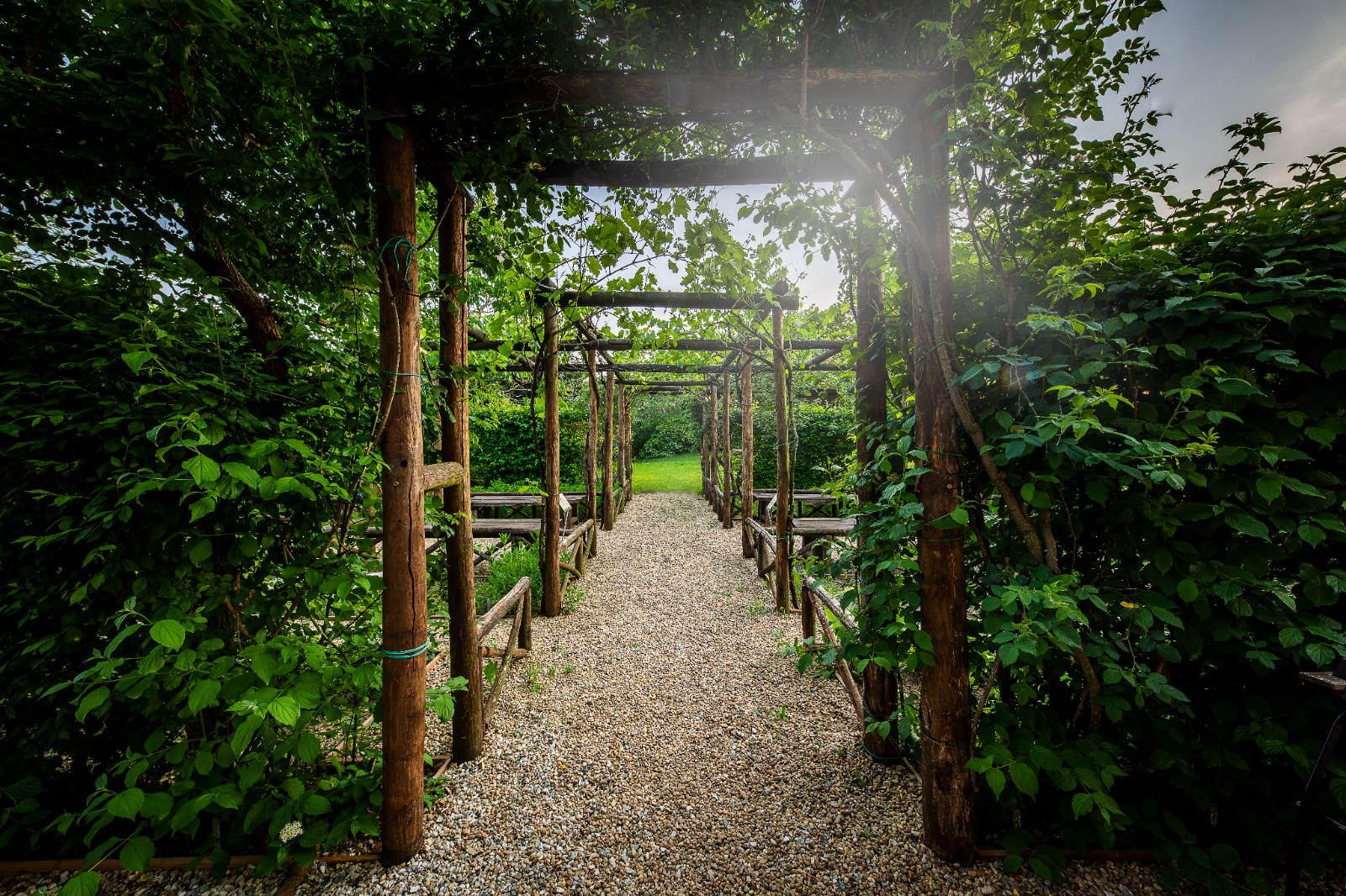 Orto Romano di Bene Vagienna - Le Terre dei Savoia